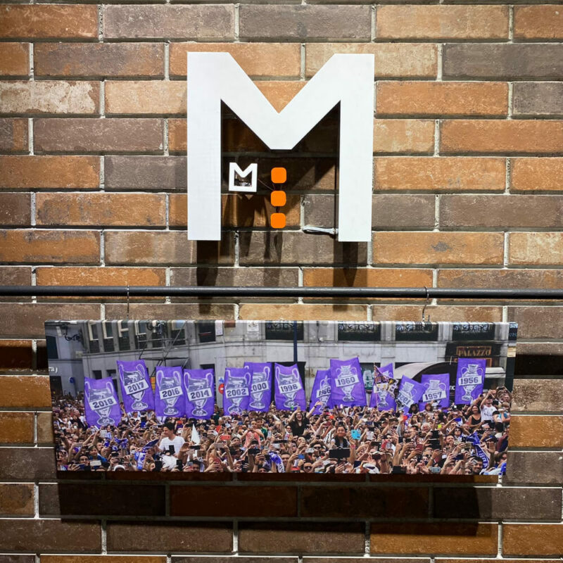 Blancos 13 Cups fans celebration Canvas Panel - Matador Design